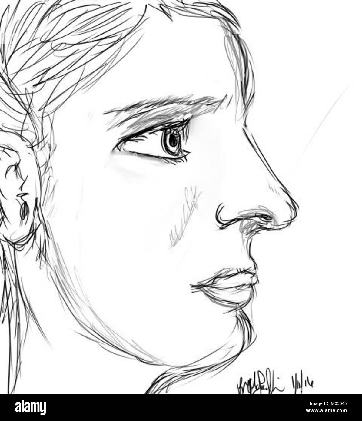 The Buckskin Girl side sketch is an artistic depiction of a missing ...