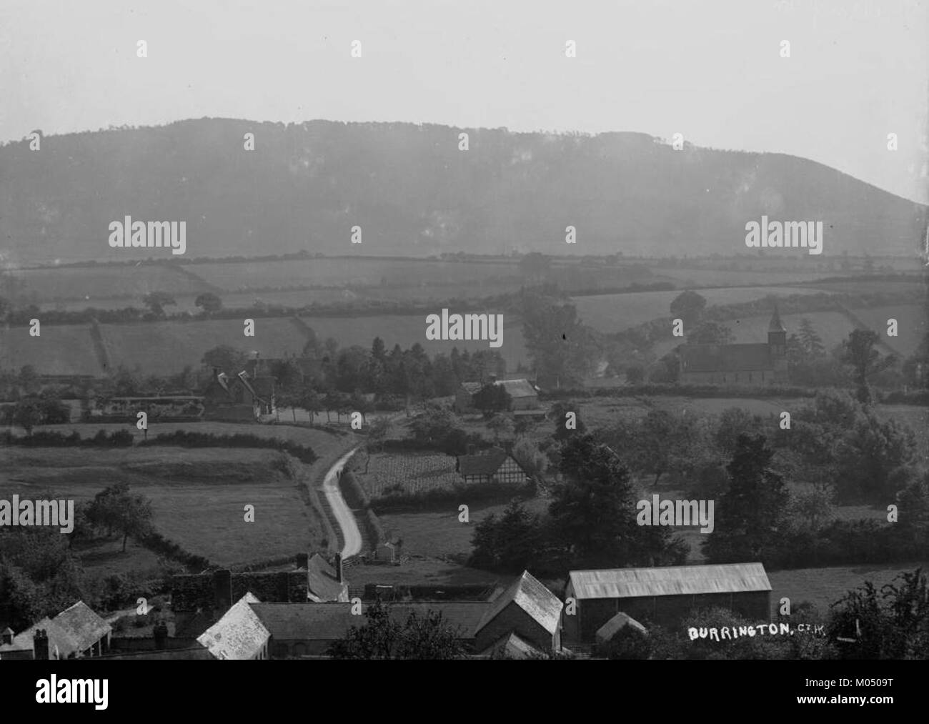 Burrington hi-res stock photography and images - Alamy