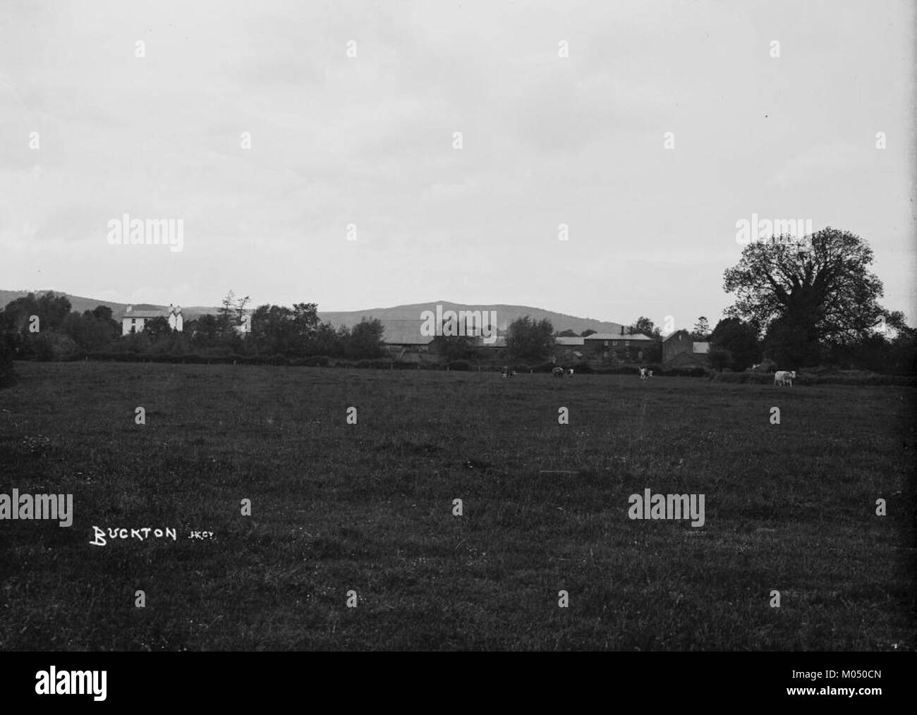 Buckton hi-res stock photography and images - Alamy