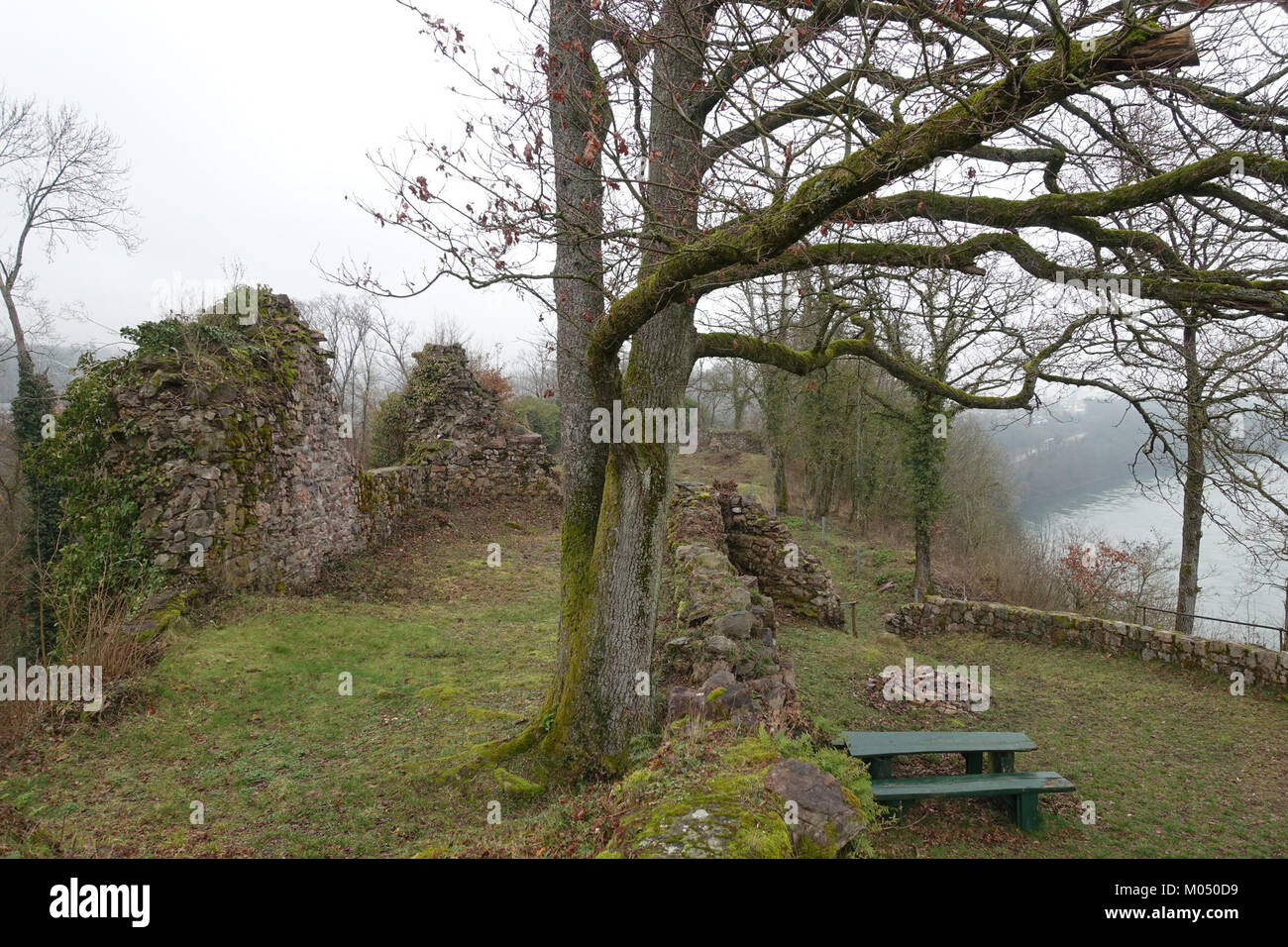 An image showcasing the interior of Burg Hauenstein, a historical ...