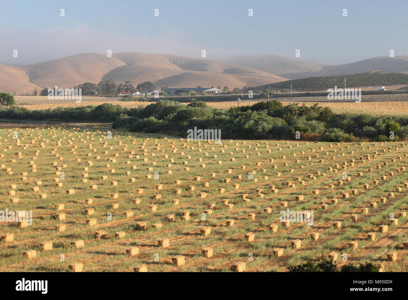 The Morro Bay area and San Luis Obispo (SLO) County in California are ...