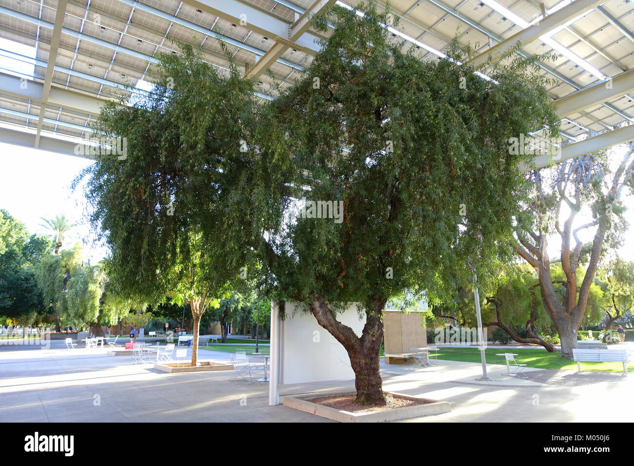 Tempe campus hi-res stock photography and images - Alamy