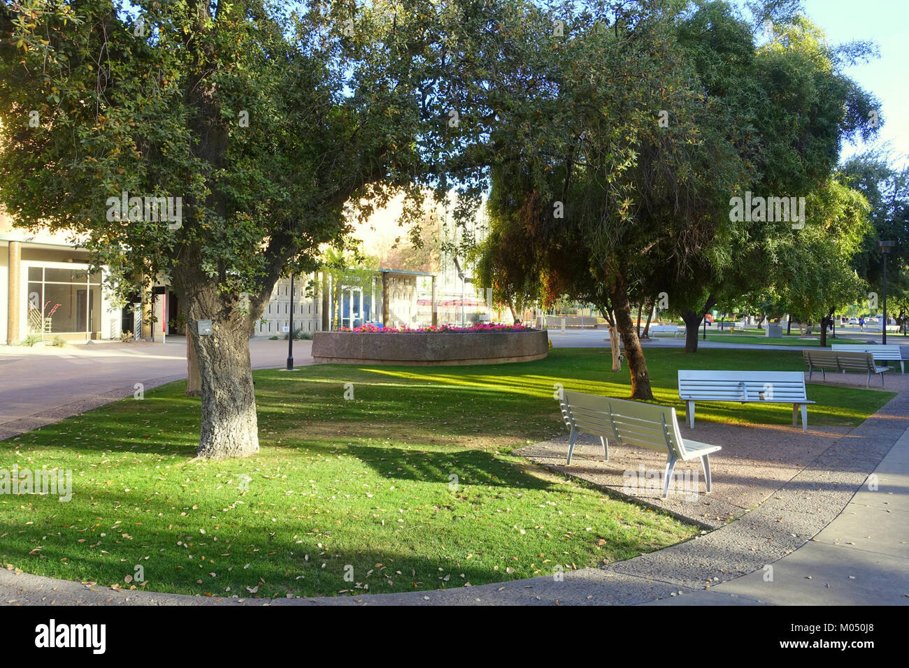 Campus view - Arizona State University - Tempe, AZ - DSC05932 Stock ...