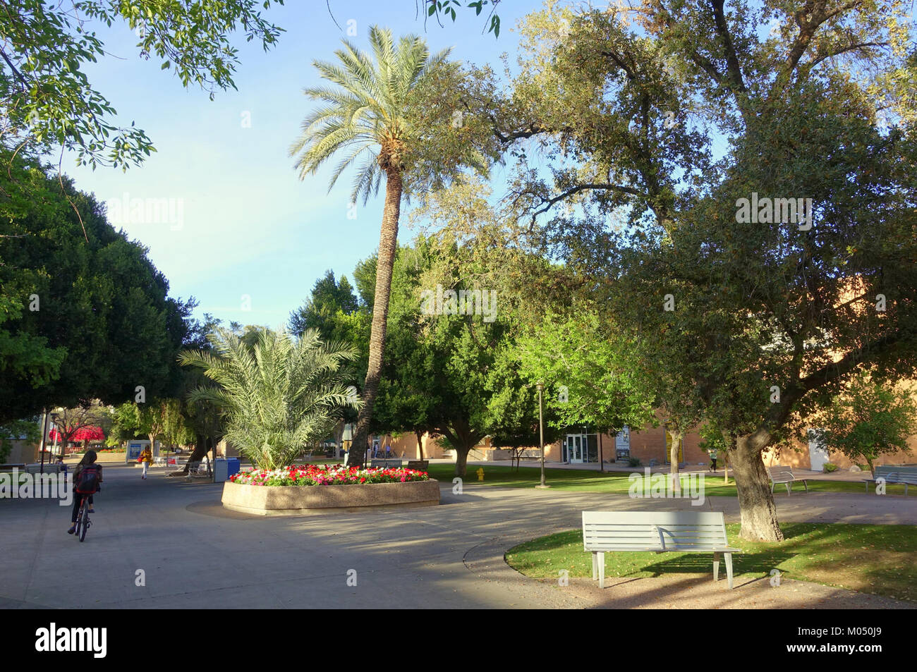 Tempe campus hi-res stock photography and images - Alamy