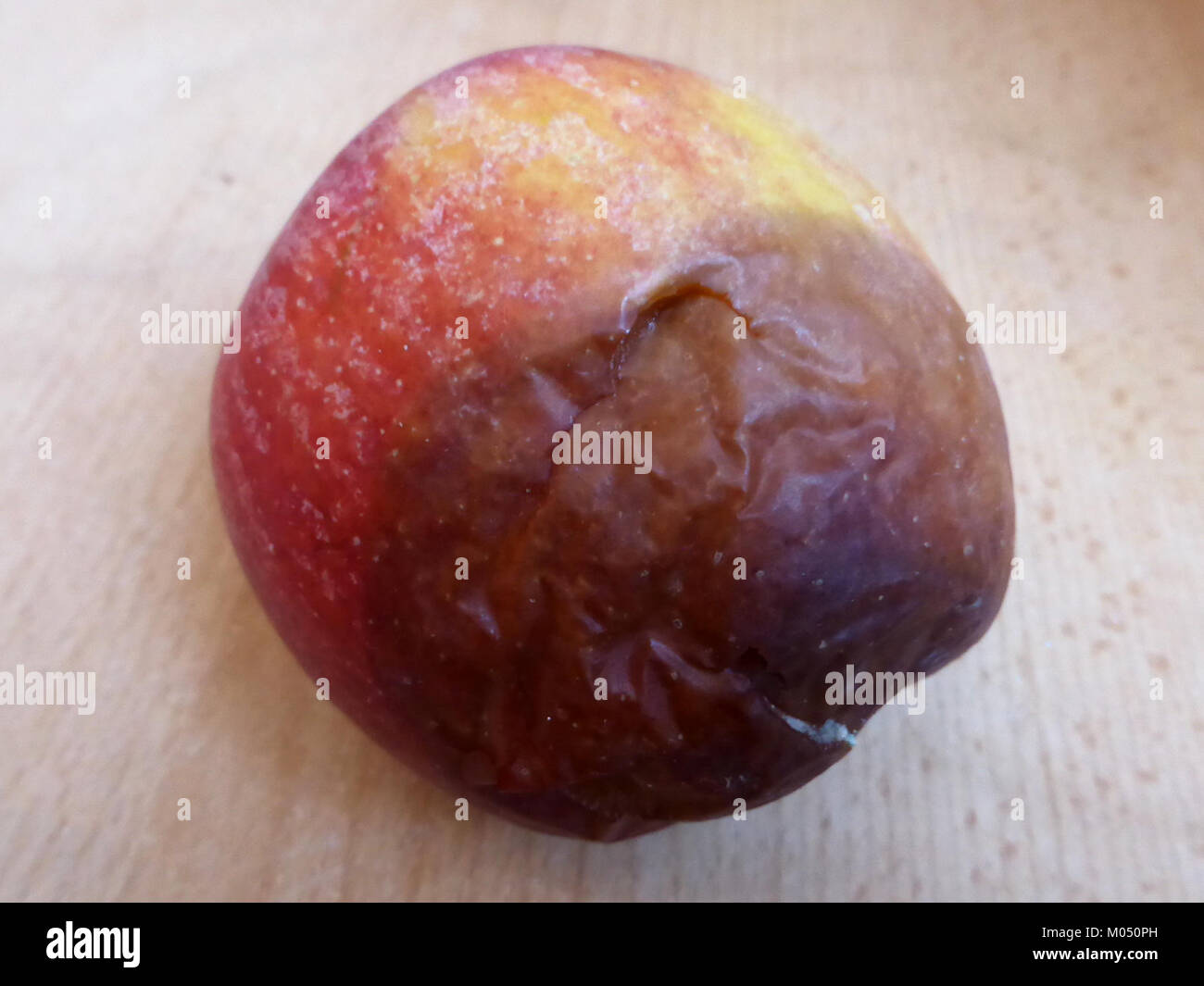 This image depicts a rotten Braeburn apple, showing the effects of ...