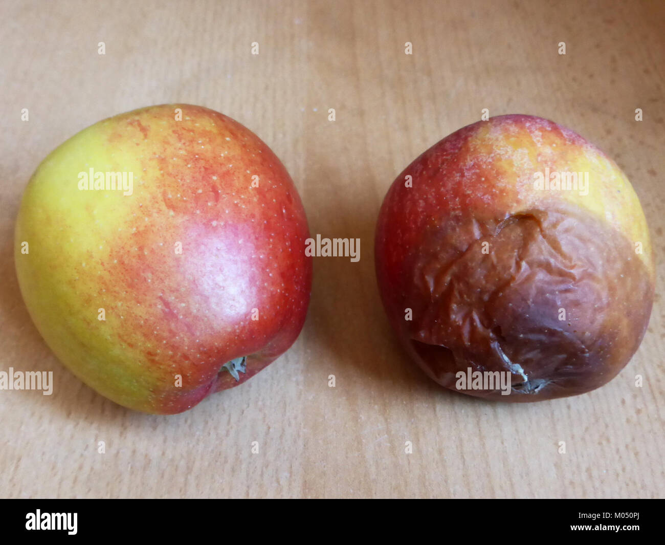 Image of a Braeburn apple exhibiting signs of over-ripeness, commonly ...