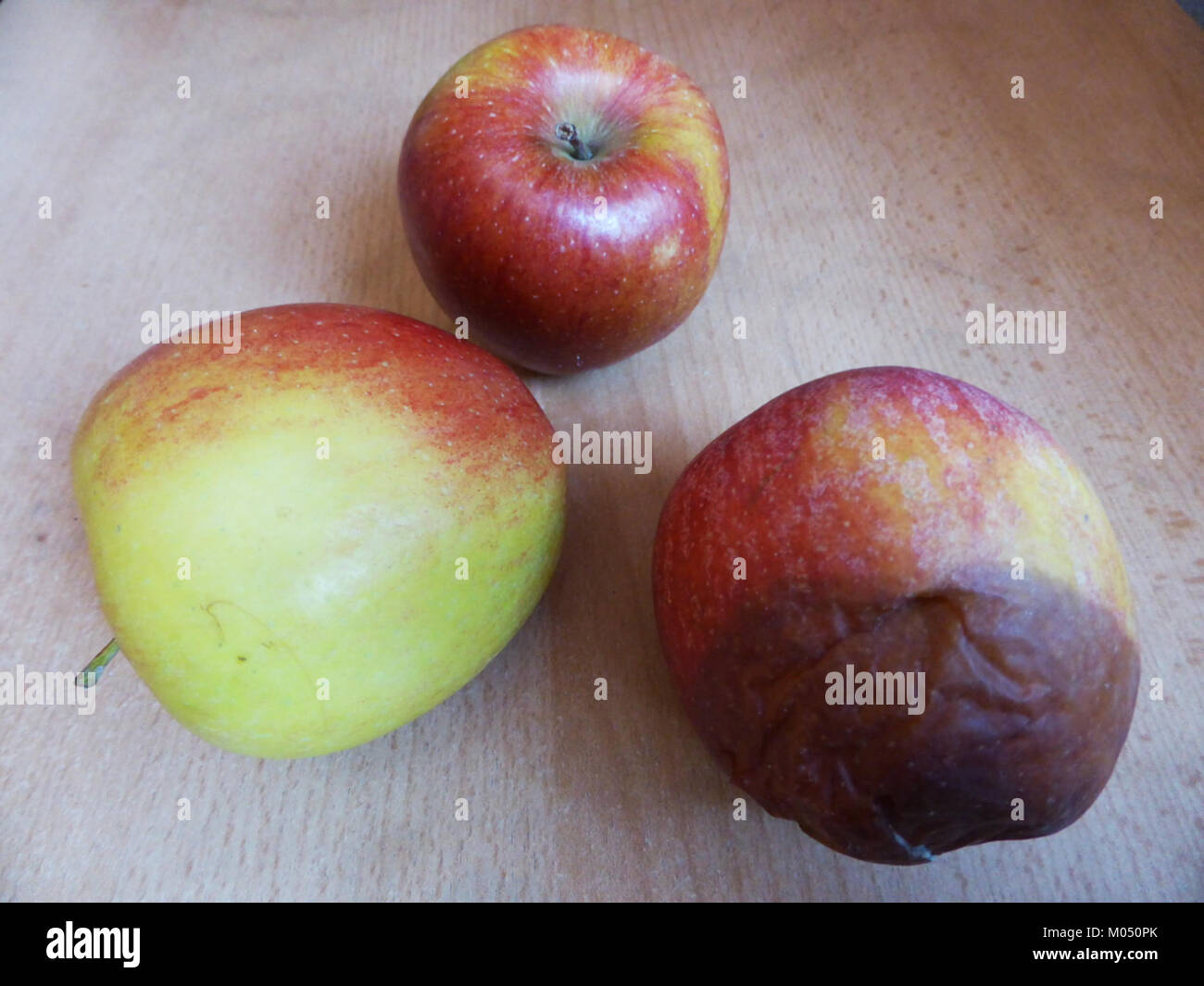 The Braeburn-2 apple is a variety of Braeburn, known for its crisp ...