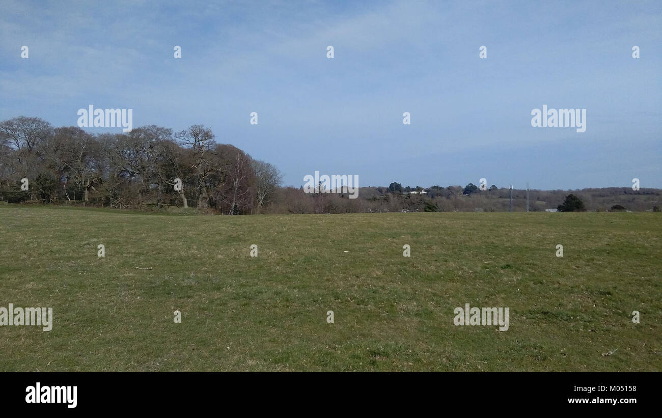 The interior of Buckland Rings is a historical site known for its ...