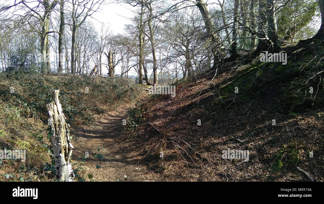 Buckland Rings is an archaeological site featuring ancient earthworks ...