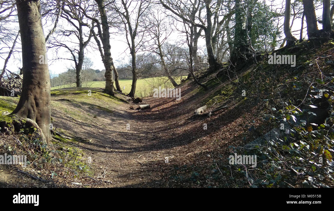 Buckland Rings east ramparts Stock Photo - Alamy