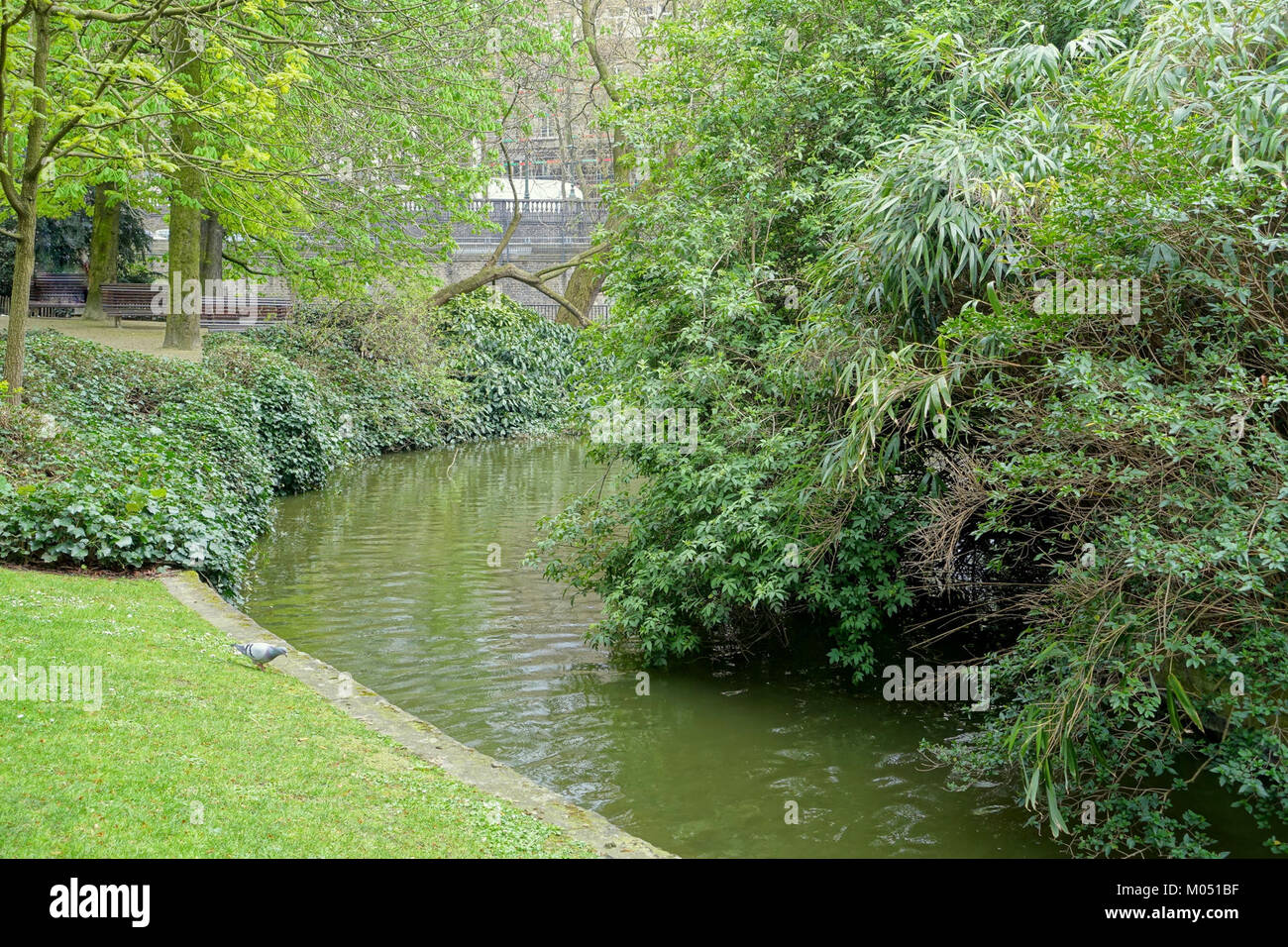 This image showcases the Botanical Garden of Brussels, located in ...
