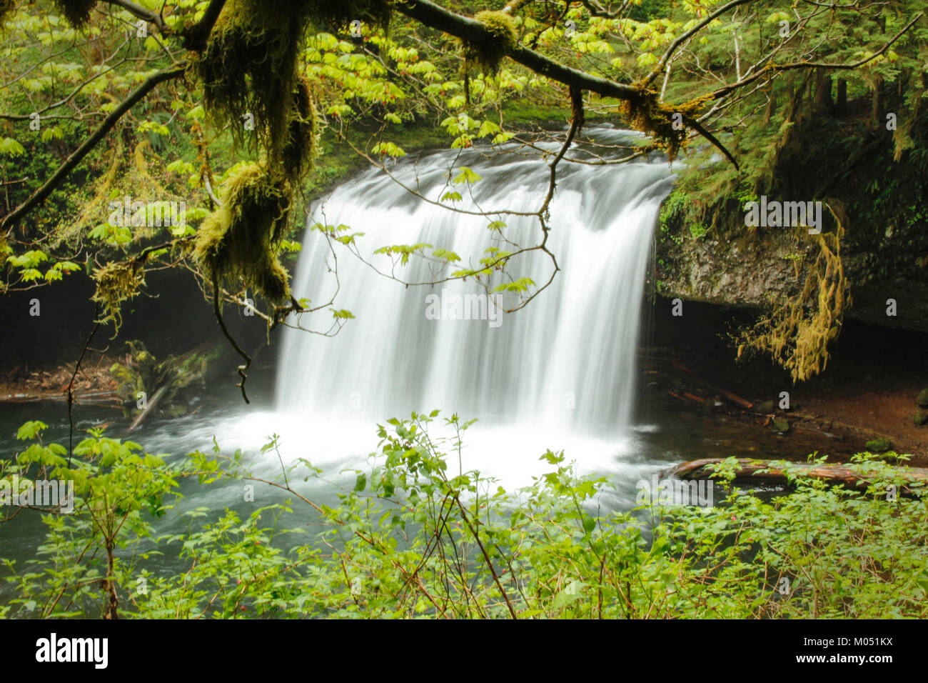A photograph of Butte Creek Waterfall in Oregon, capturing the natural ...