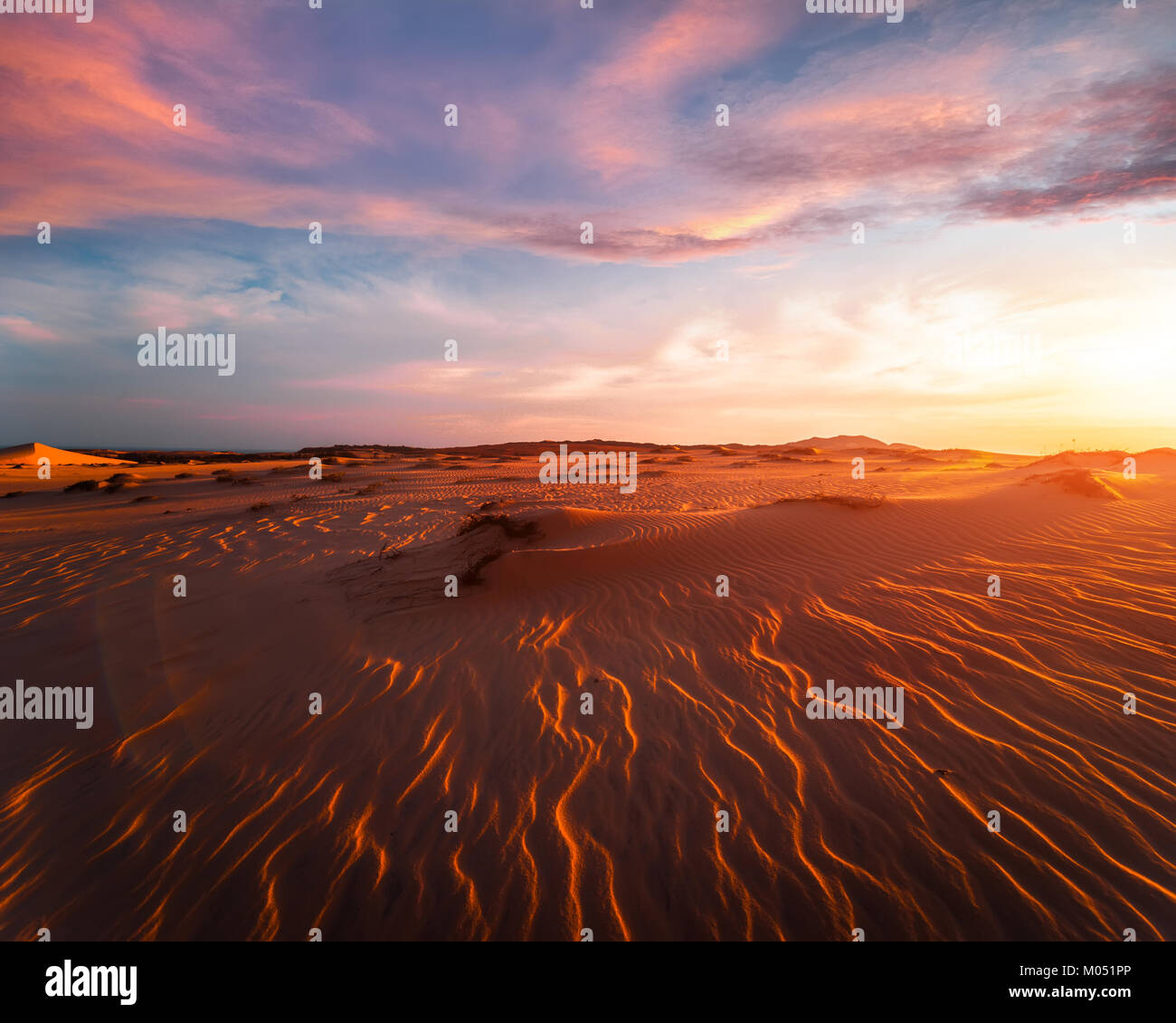 Stunning view of lonely sand dunes under amazing evening sunset sky at ...