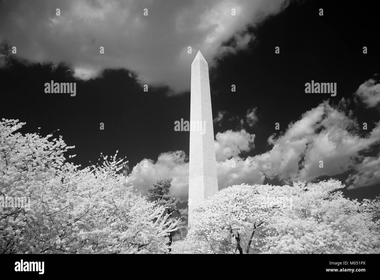 Washington dc washington monument Black and White Stock Photos & Images ...