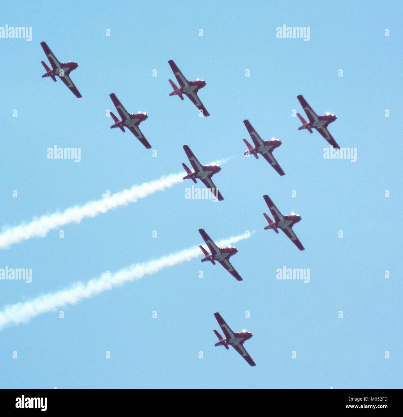 The Canadian Snowbirds are a Canadian military aerobatic flight team ...