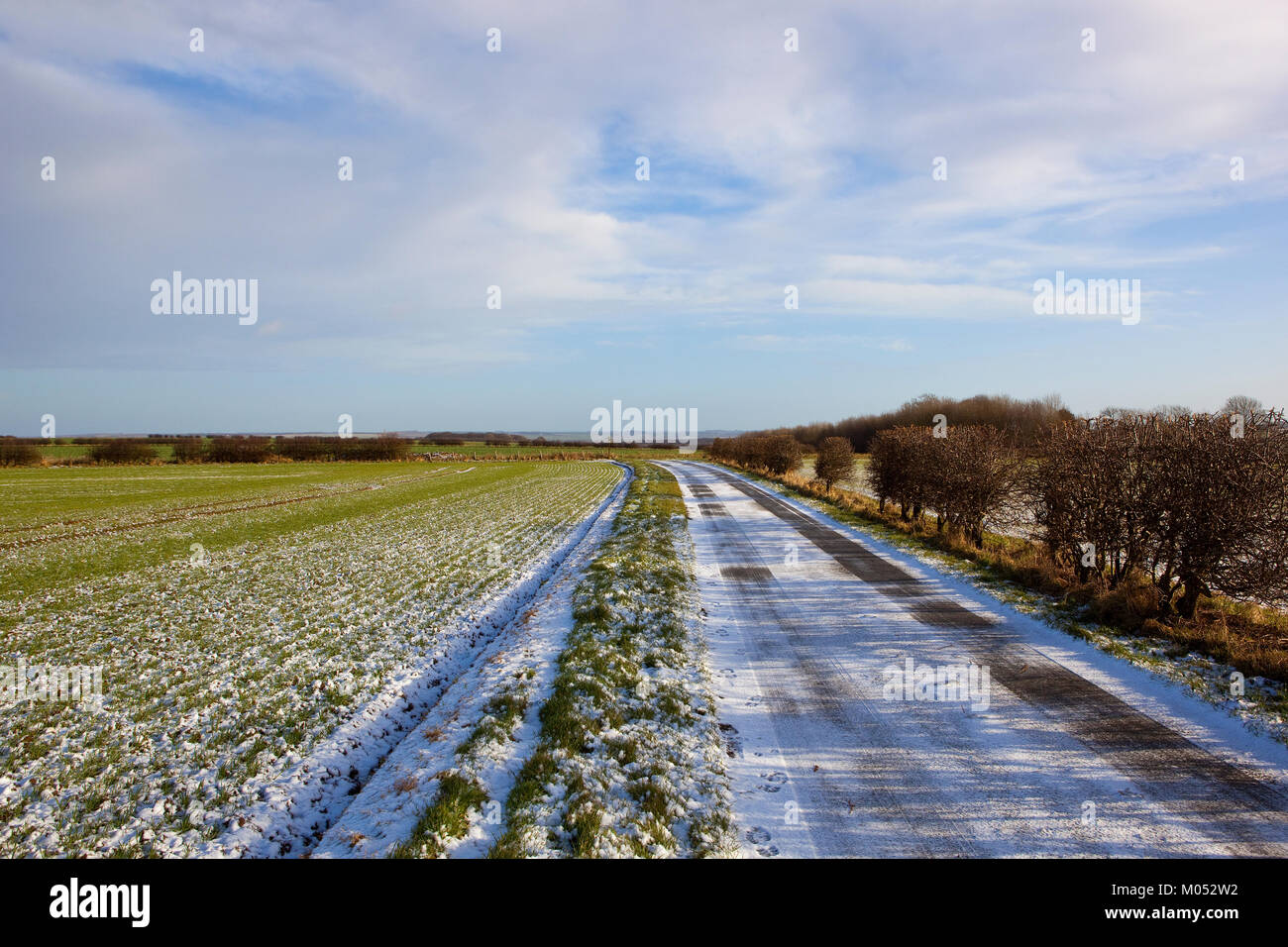 a farm road with a light covering of snow beside a wheat field in the ...