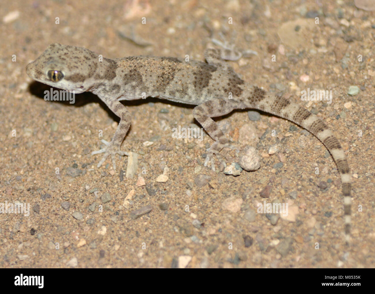Arid climate zone features hi-res stock photography and images - Alamy