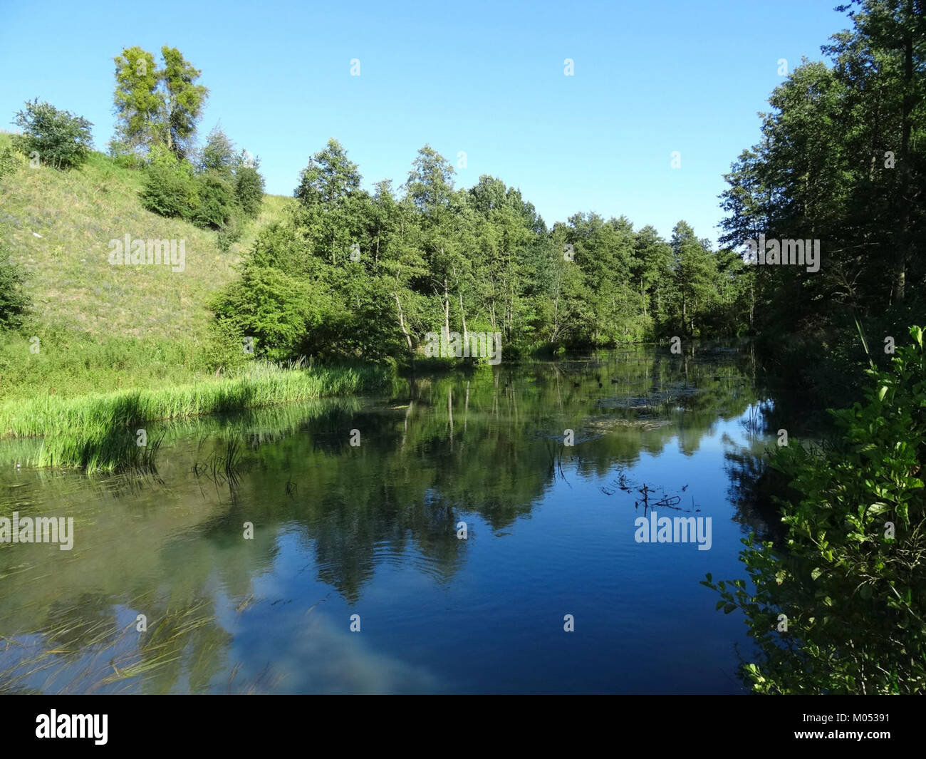 This image shows the Brda River in Koronowo, Poland, captured in July ...