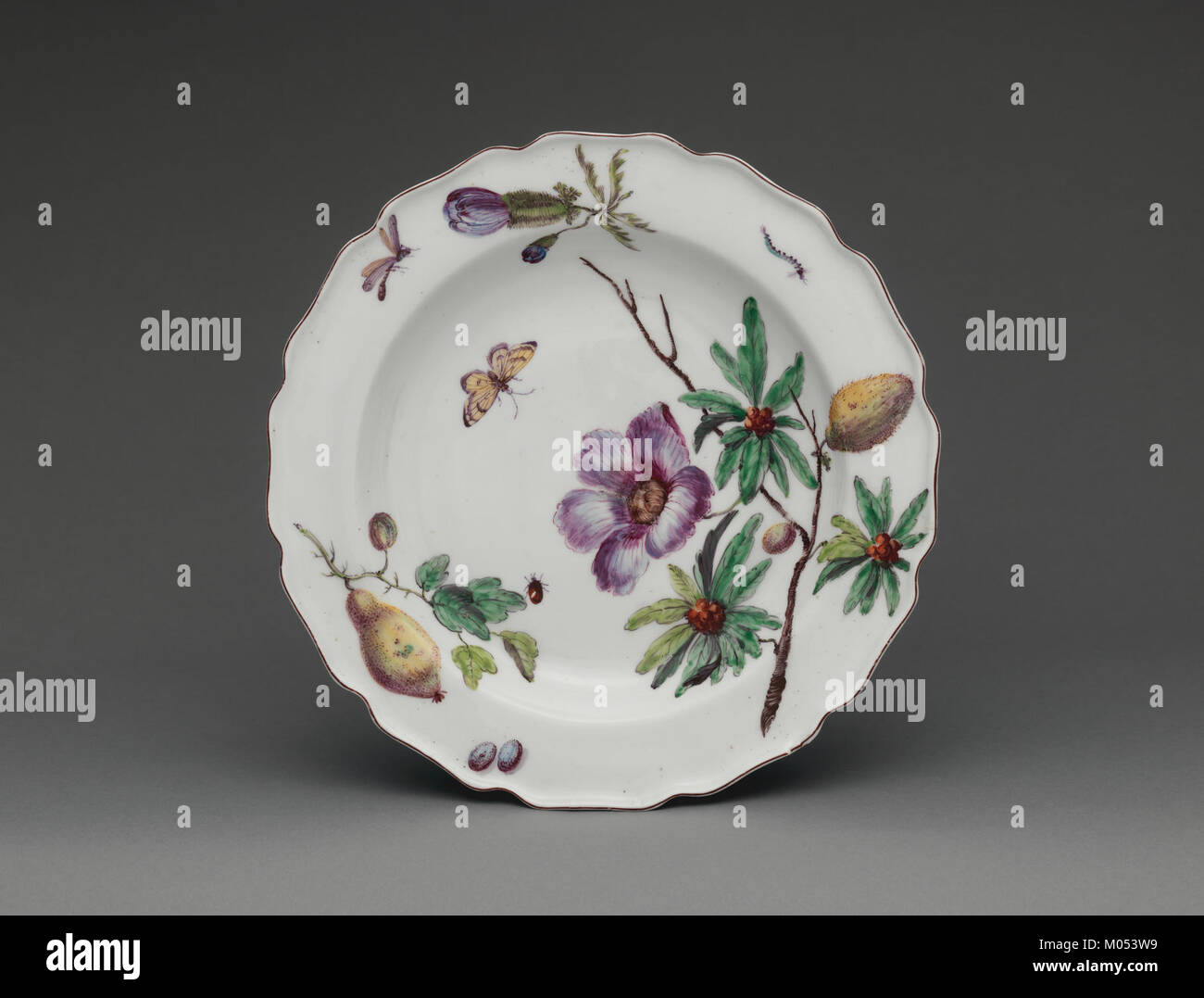 This botanical plate illustrates a tropical specimen, meticulously ...