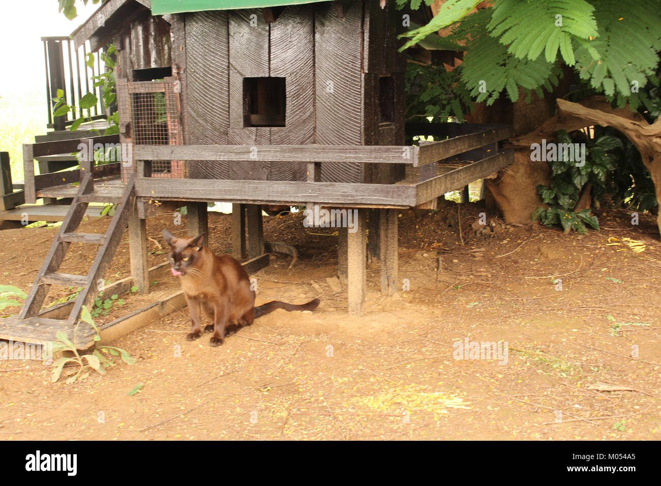 Animal housing structure hi-res stock photography and images - Alamy