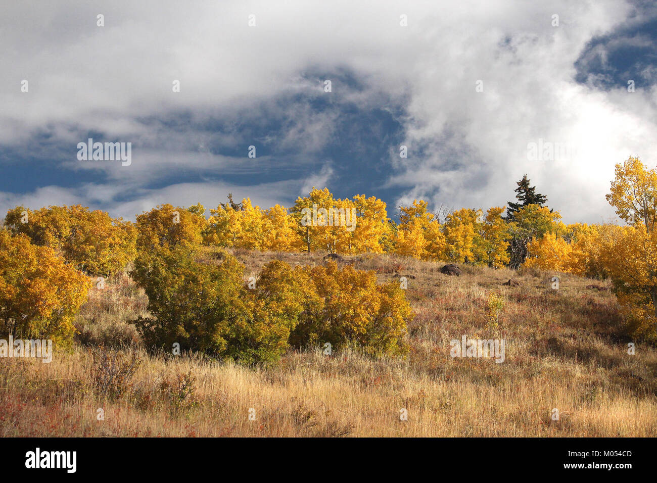 This image captures the vibrant fall colors on Boulder Mountain ...