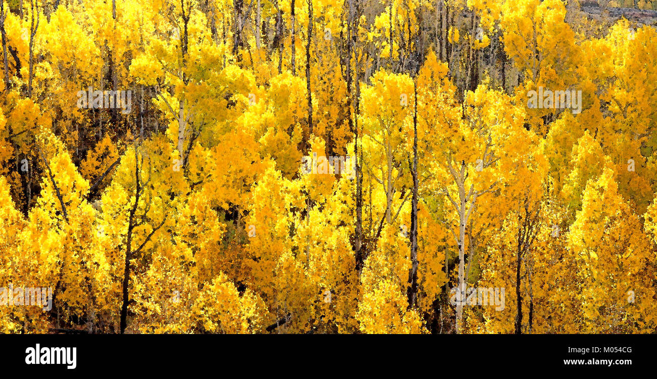 This image captures the vibrant fall colors in Boulder Mountain, Utah ...