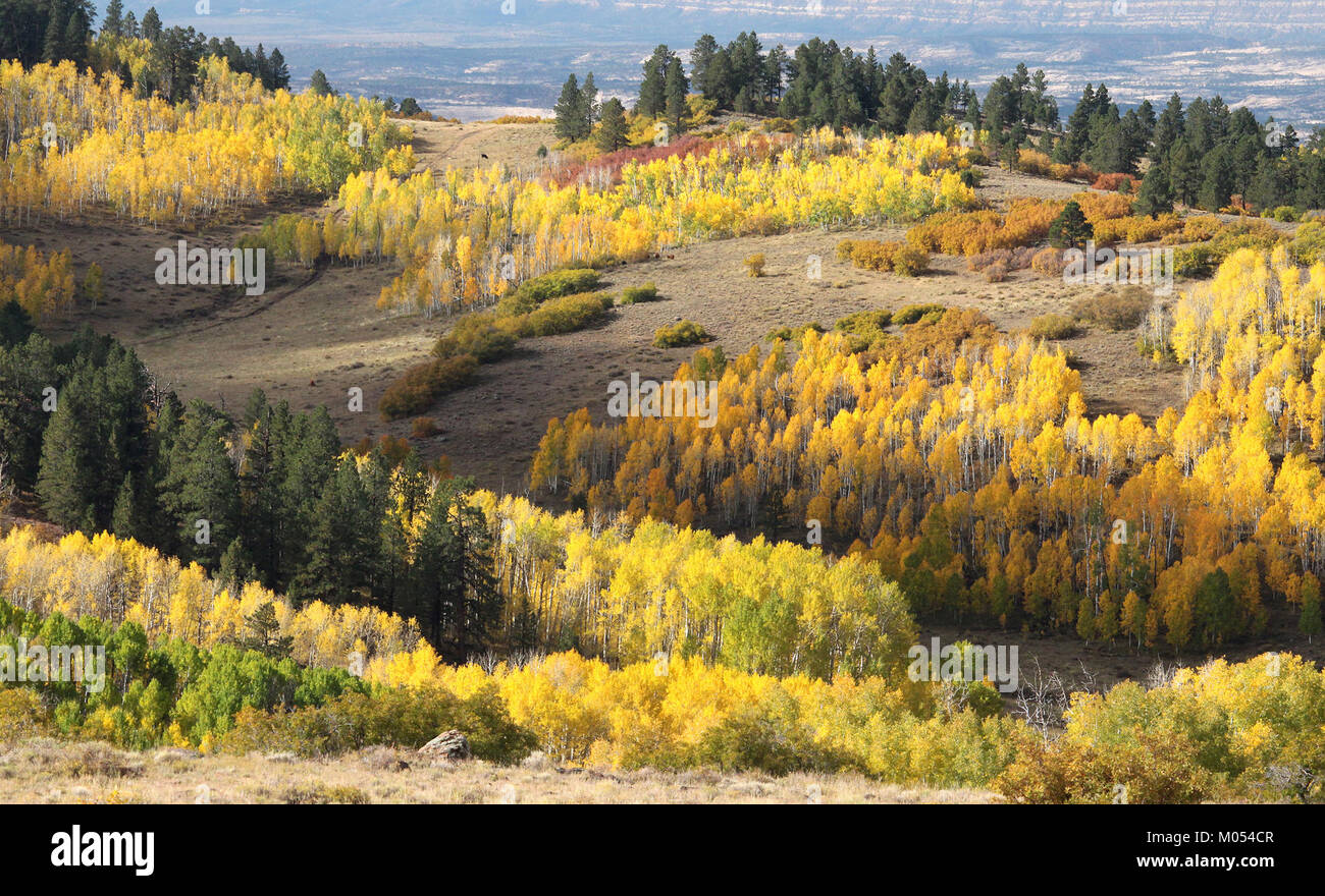 Garfield 2 hi-res stock photography and images - Alamy