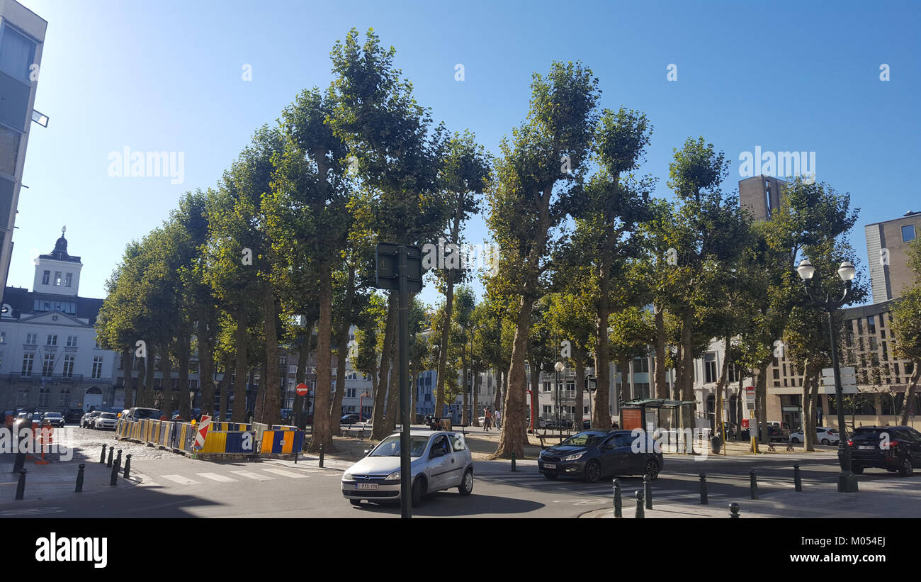 Nieuwe graanmarkt hi-res stock photography and images - Alamy