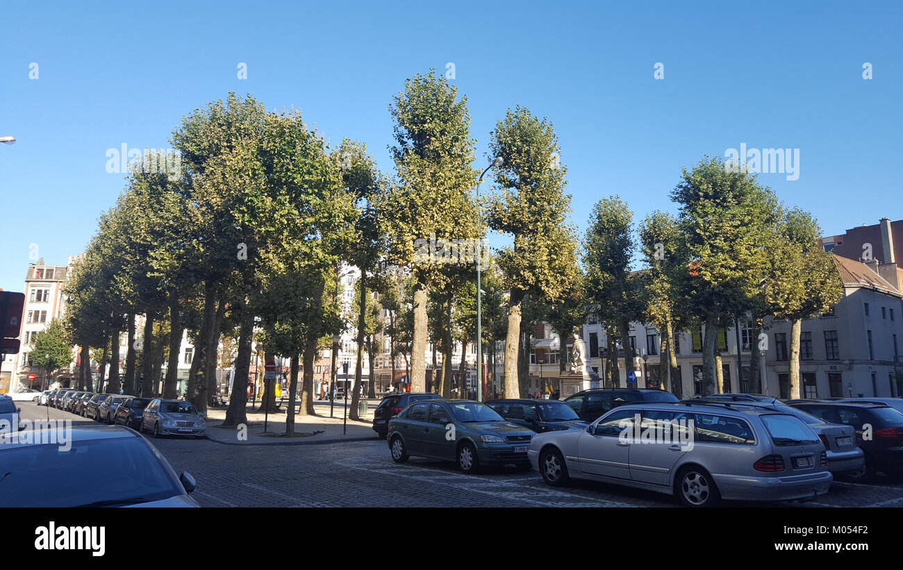 Nieuwe graanmarkt hi-res stock photography and images - Alamy