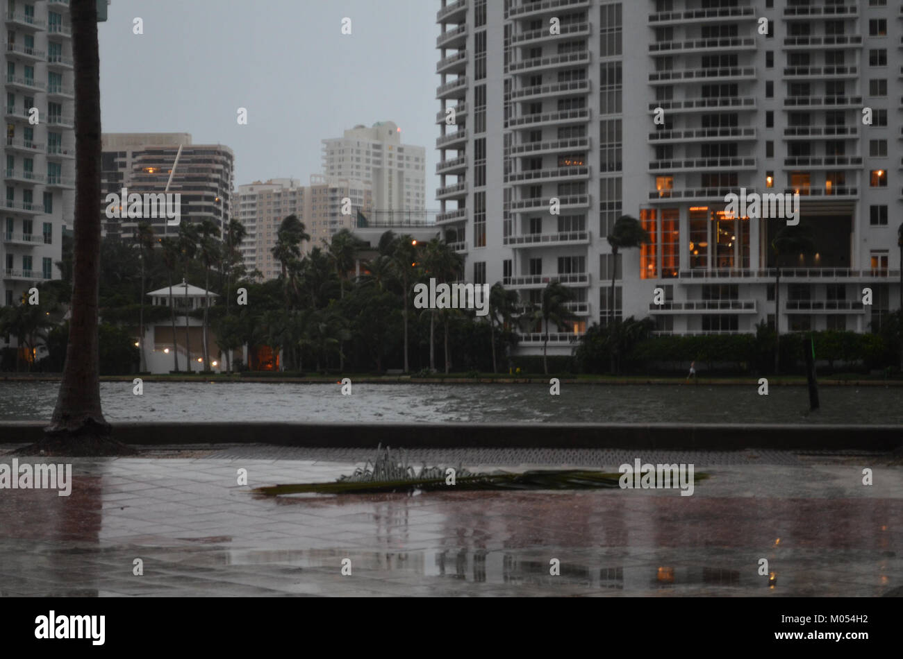 An image showing the extra high tide at Brickell Key, Miami ...