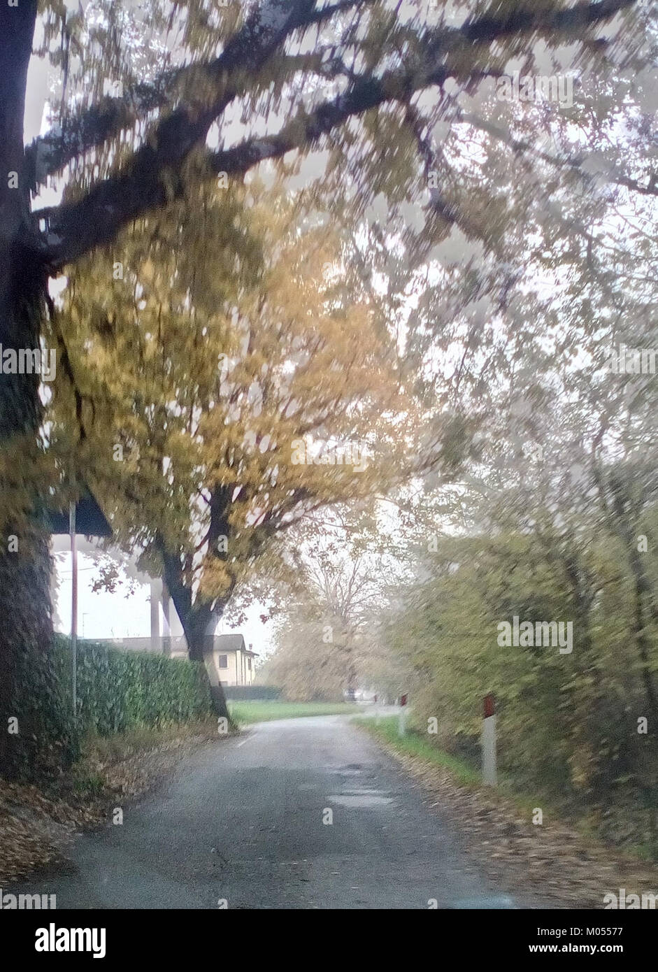 Canali (RE) refers to the Italian fashion brand, known for its high ...