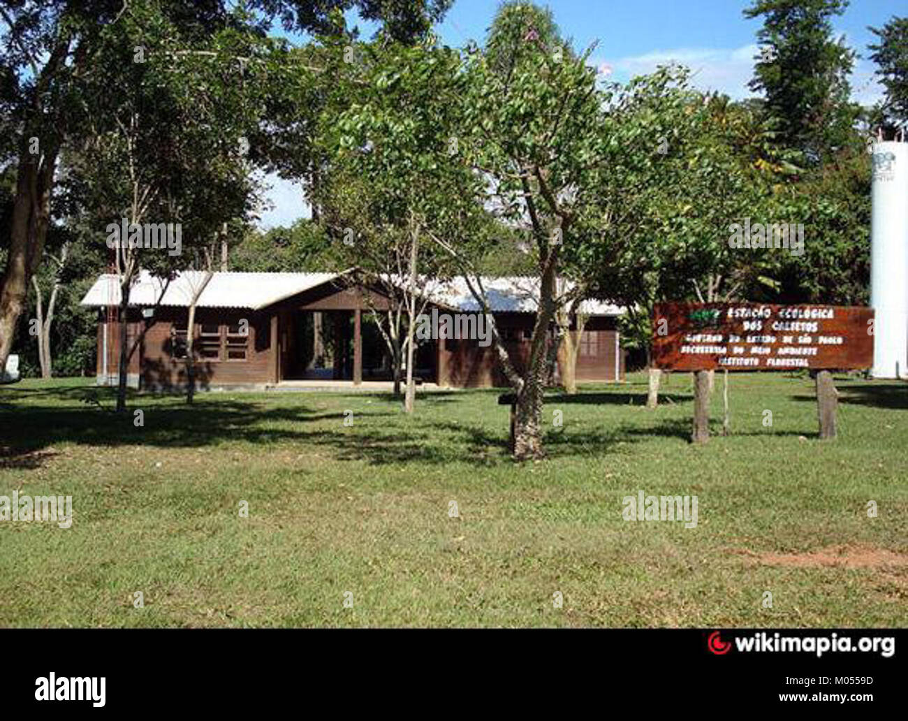 Caetetus hi-res stock photography and images - Alamy