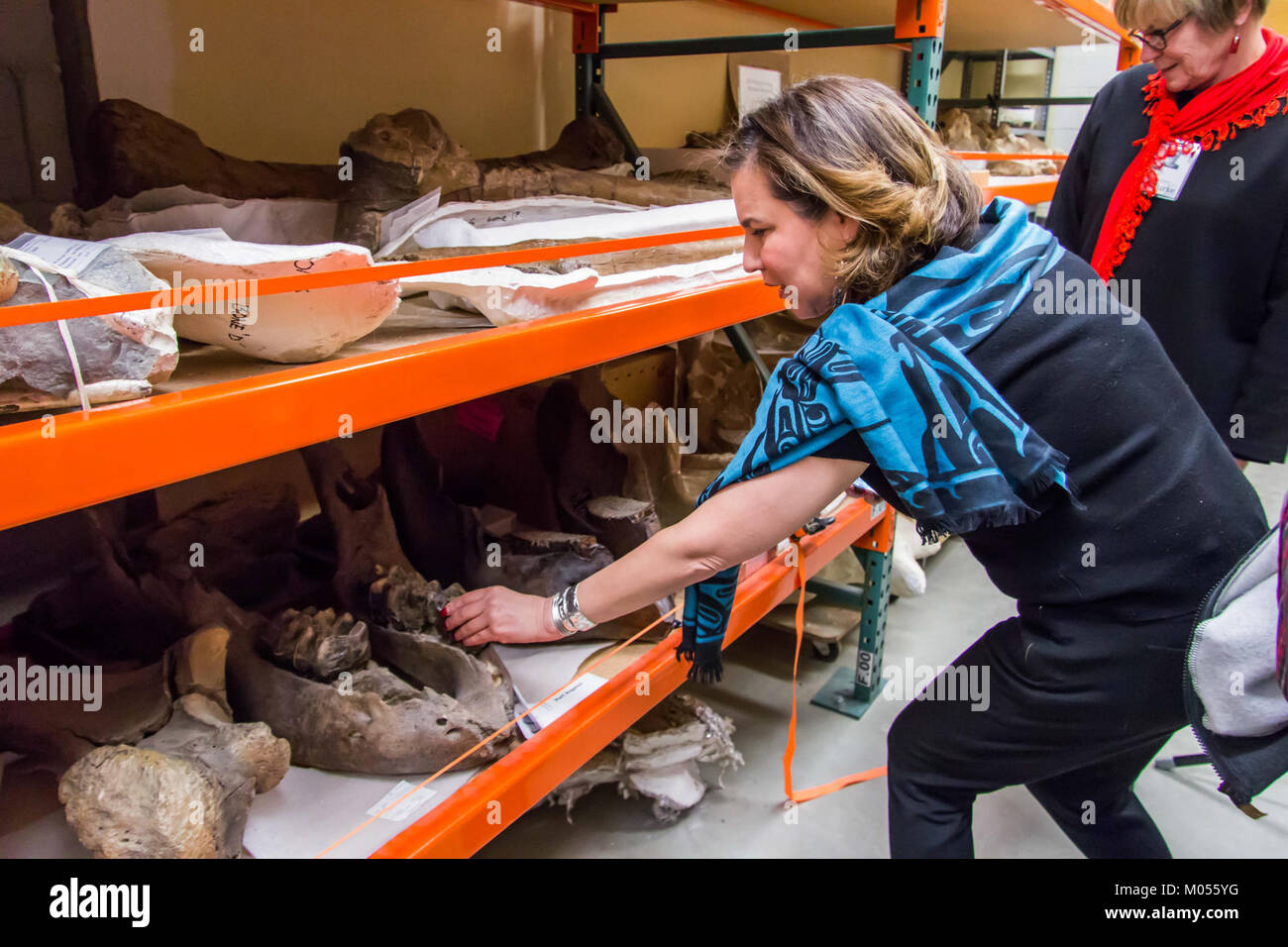 The Burke Museum, located in Seattle, Washington, offers a wide array ...