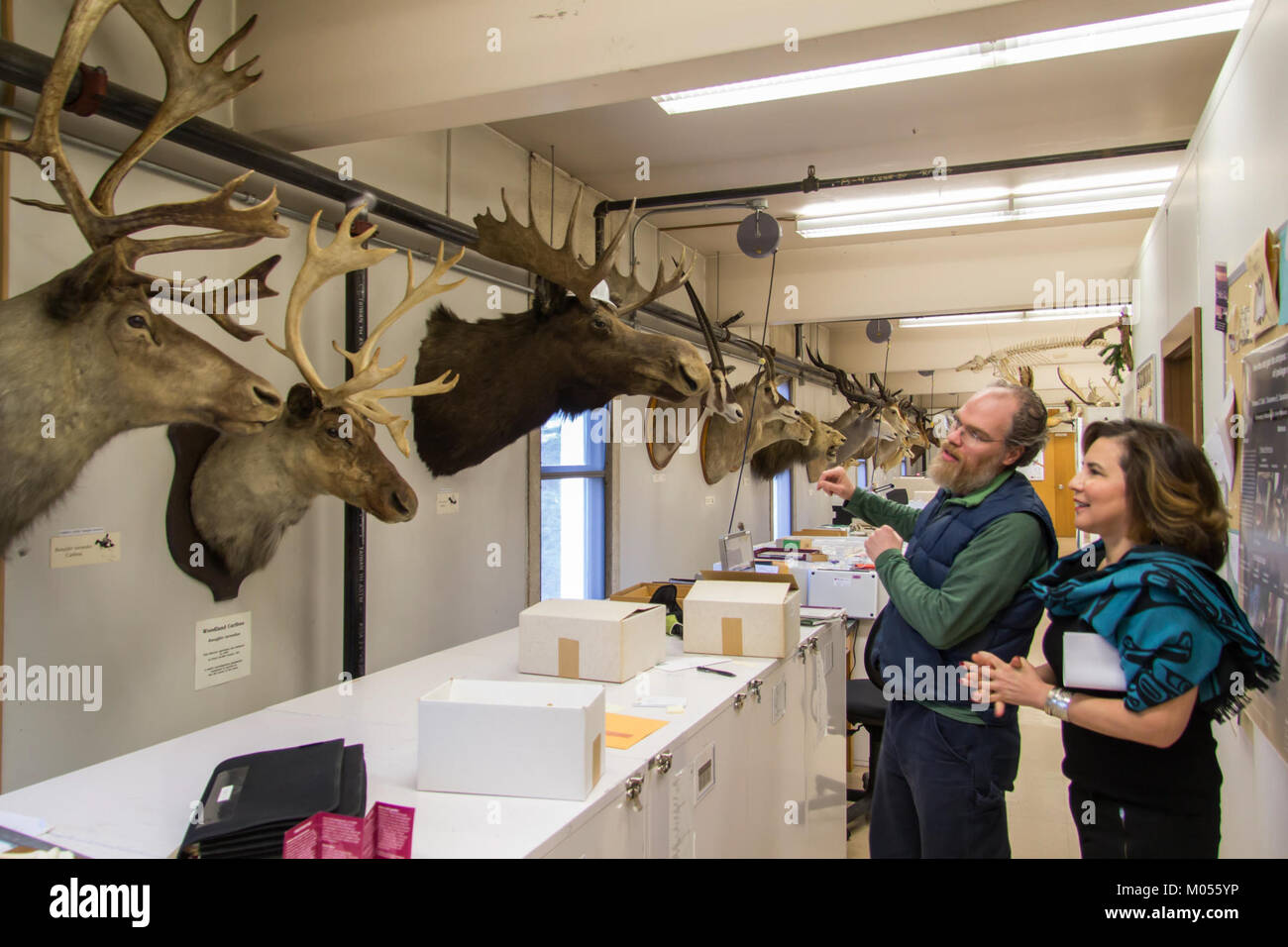 The Burke Museum, located on the University of Washington campus in ...