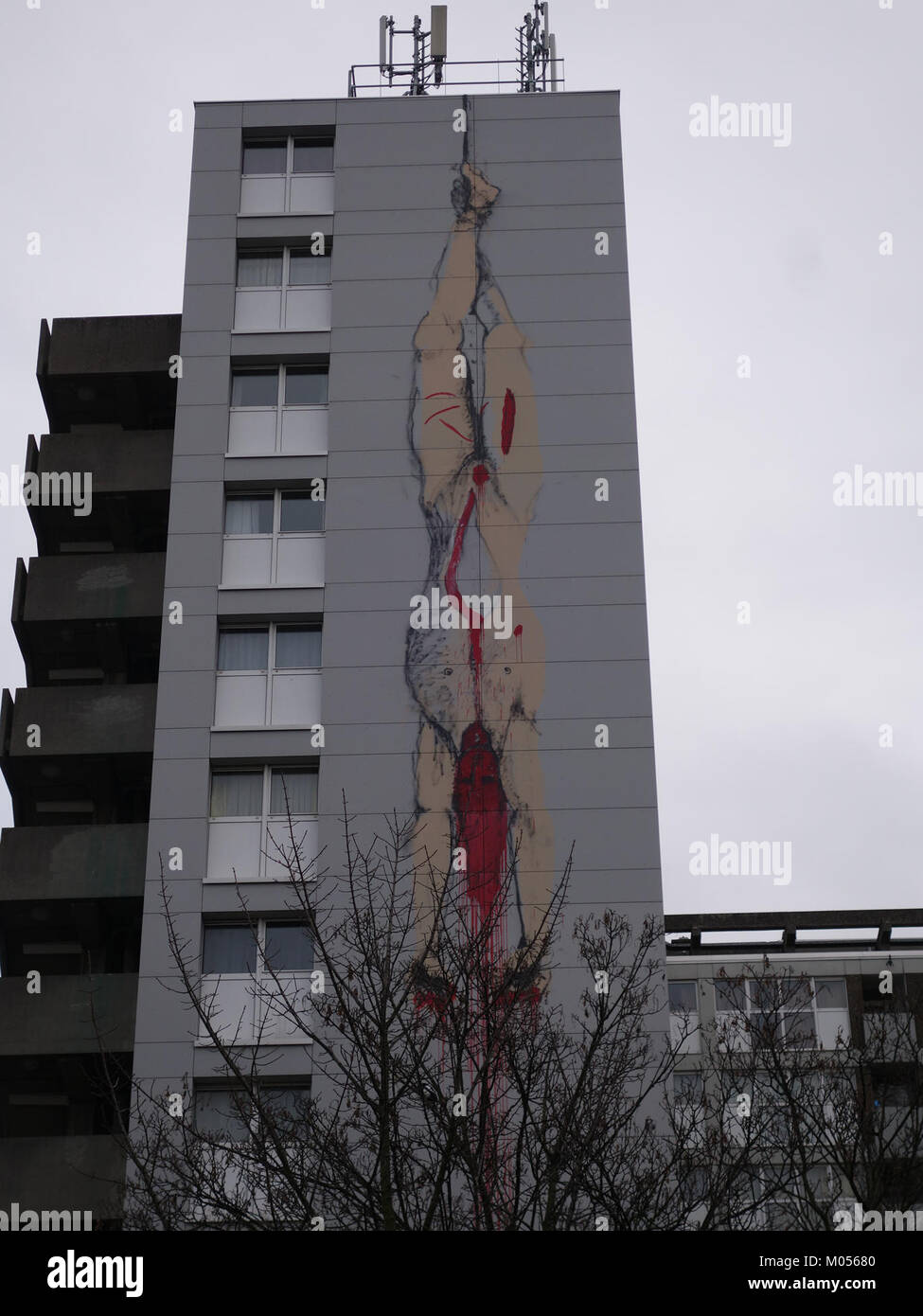 Bxgraf50 refers to a specific reference or model number, potentially associated with a product ...