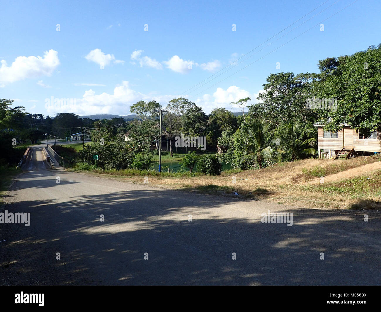 Bullet Tree Falls near bridge Stock Photo - Alamy