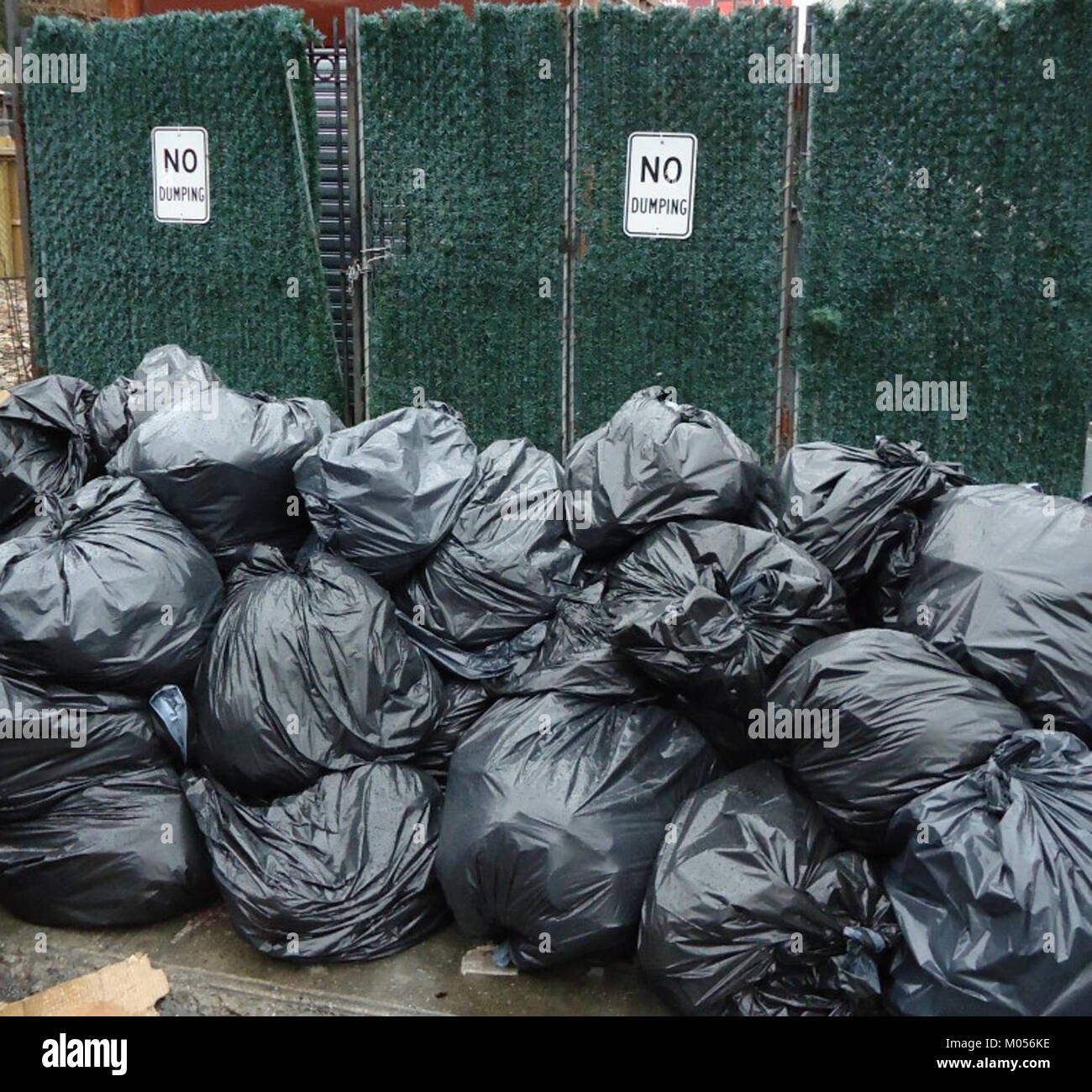 This image depicts a scene in Brooklyn, New York, showing 12 garbage ...
