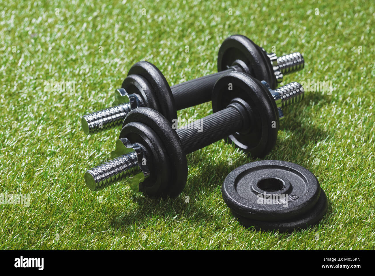 Grass plates hi-res stock photography and images - Alamy