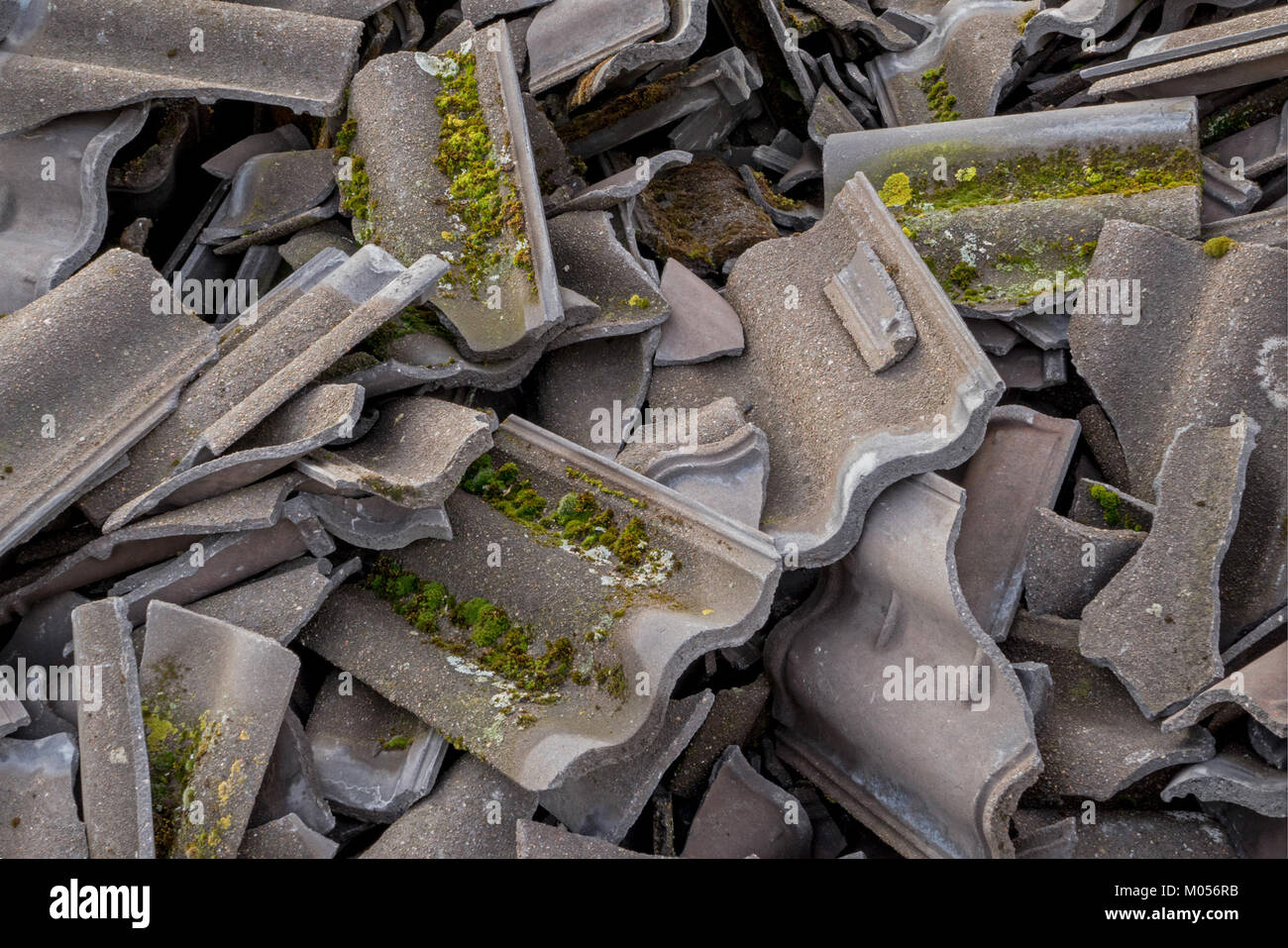 This image shows a close-up of broken black roof tiles, possibly the ...