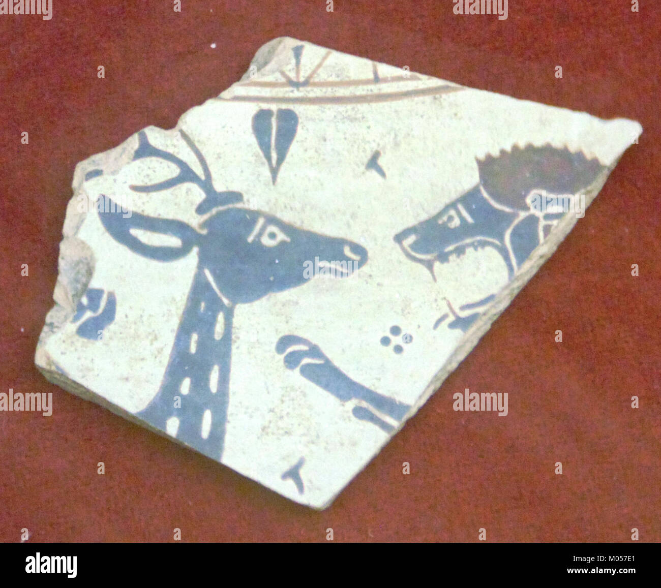 Borysthenes High Resolution Stock Photography and Images - Alamy