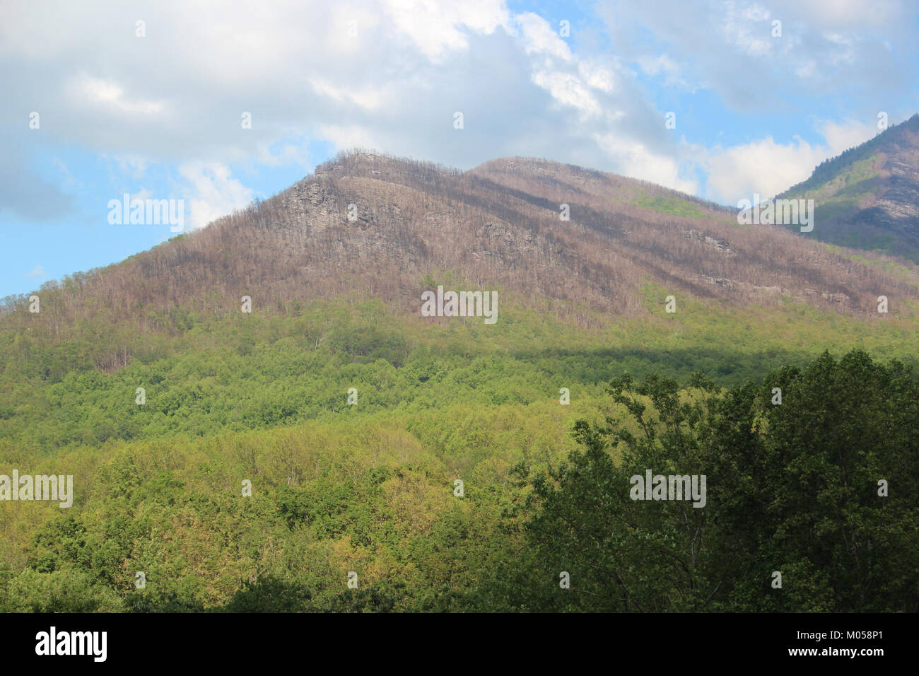Bullhead Mountain viewed from Carlos Campbell Overlook, May 2017 Stock ...