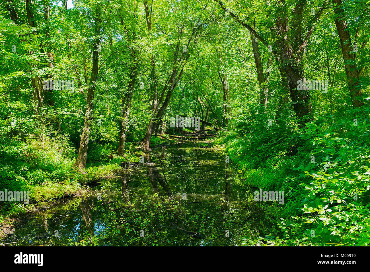 The Canal Prism at Spring Gap is a notable infrastructure feature ...