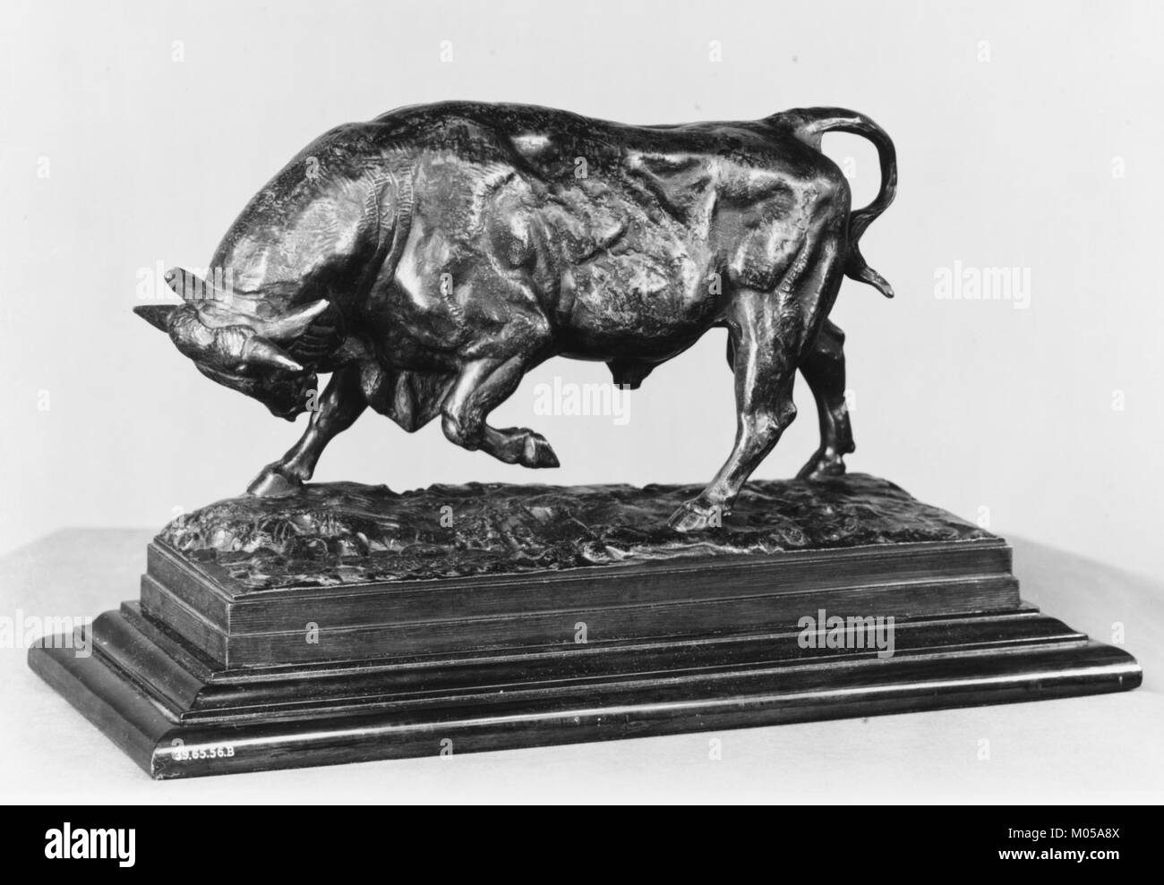 Defensive stance Black and White Stock Photos & Images - Alamy