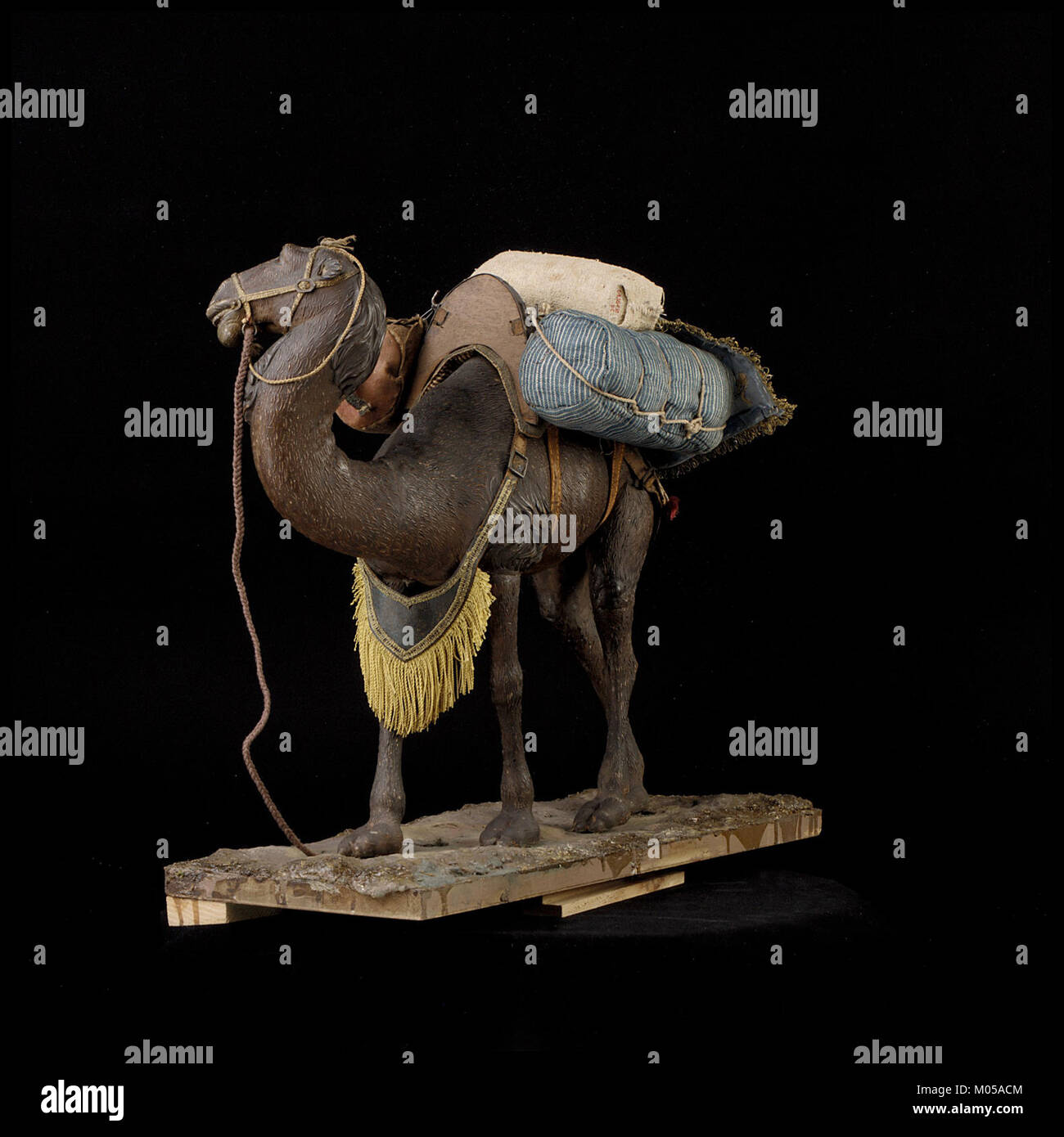 This image depicts a camel, an iconic animal known for its ability to ...