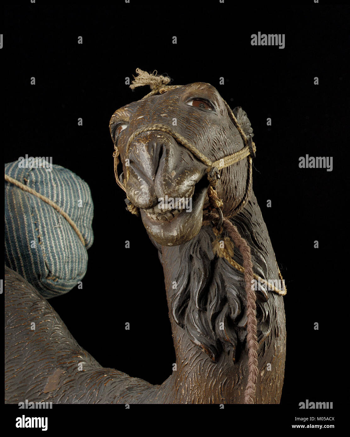 A historical depiction of a camel in the Metropolitan Museum of Artâ€™s ...