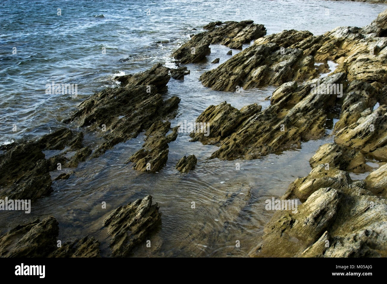 The photograph titled 'Breaking the Surface' captures a dramatic moment ...