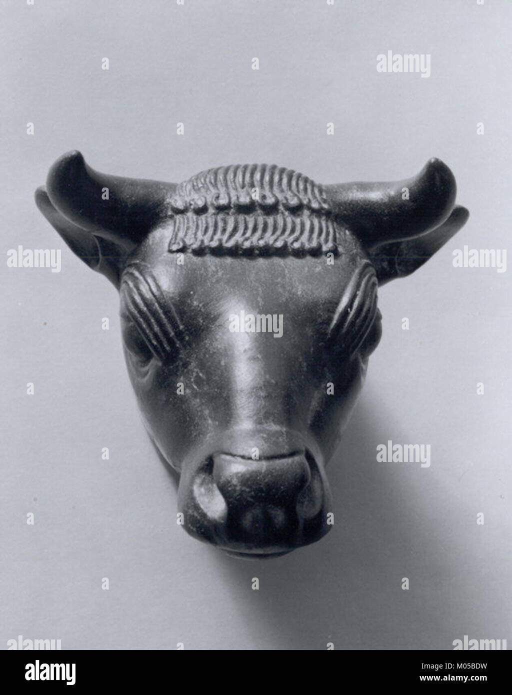 Old bulls head illustration hi-res stock photography and images - Alamy
