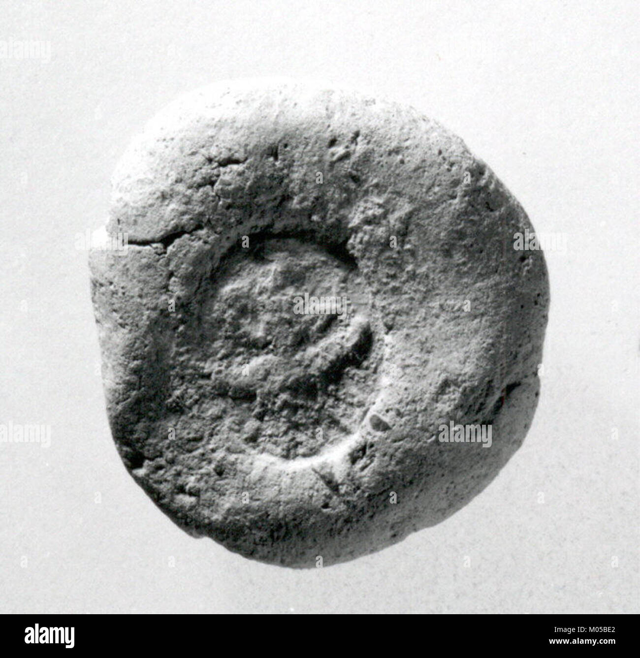 Bulla is a type of marine mollusk housed in the Metropolitan Museum of ...