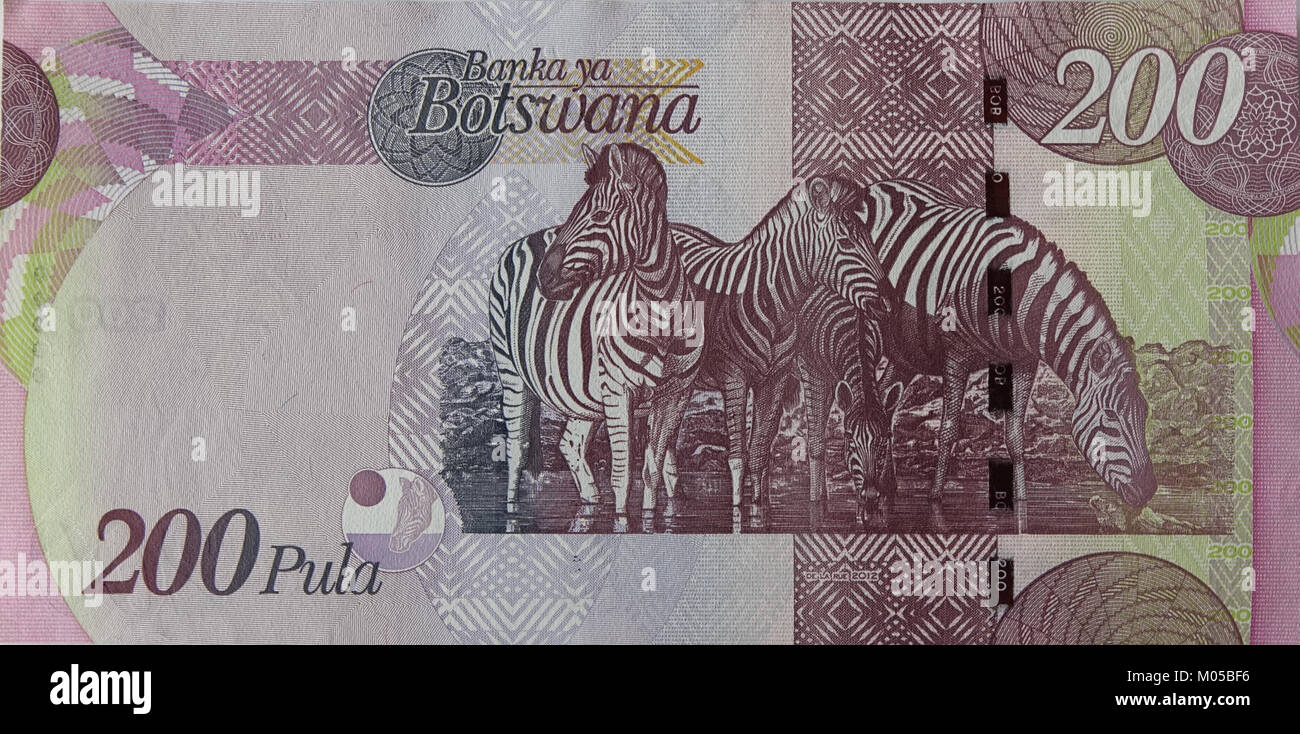 The BWP200r is a model of a specialized machine or device, identified ...