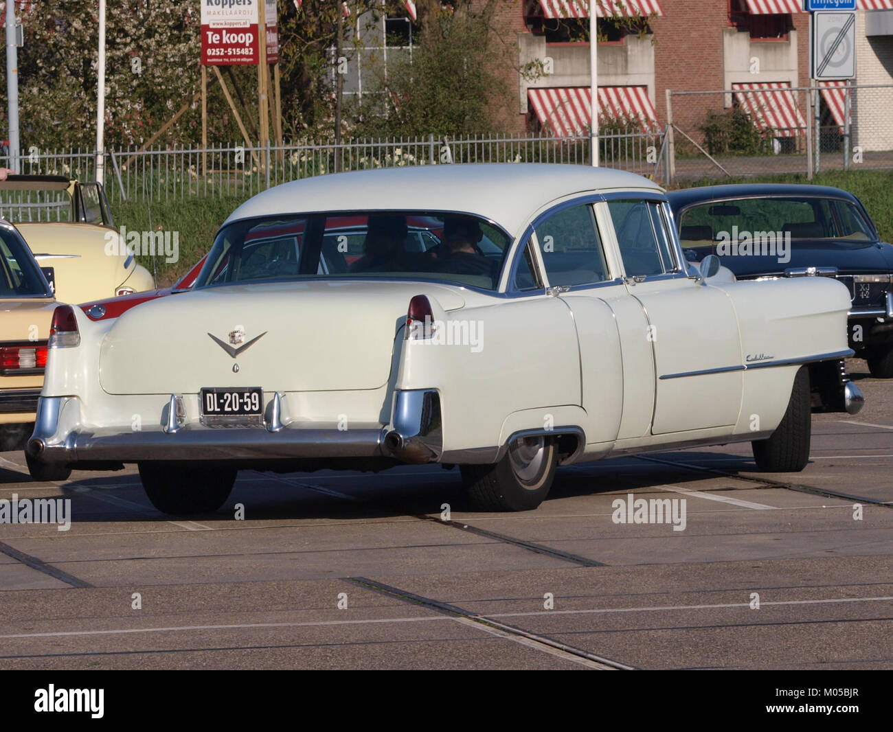 Photograph of a 1954 Cadillac Series 62 with Dutch license plate DL-20 ...